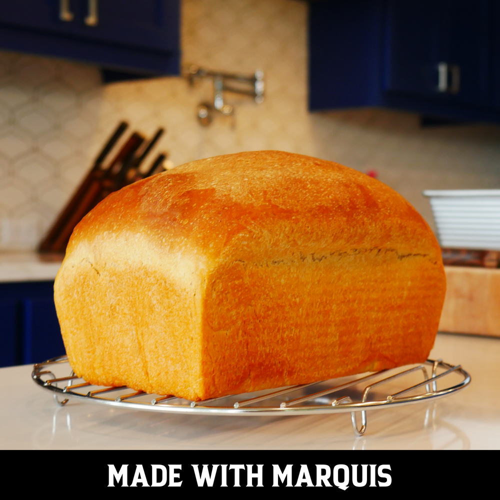 Marquis Flour (certified organic) - Barton Springs Mill